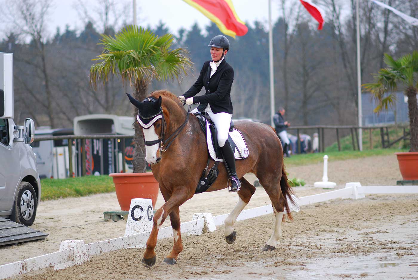 Reitstall Oberste-Lehn | Reiterhof | Boxen | Pferde | Sprockhövel