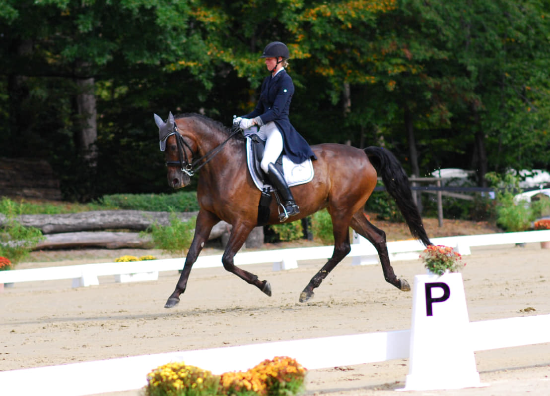 Reitstall Oberste-Lehn | Reiterhof | Boxen | Pferde | Sprockhövel