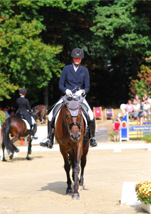 Reitstall Oberste-Lehn | Reiterhof | Boxen | Pferde | Sprockhövel